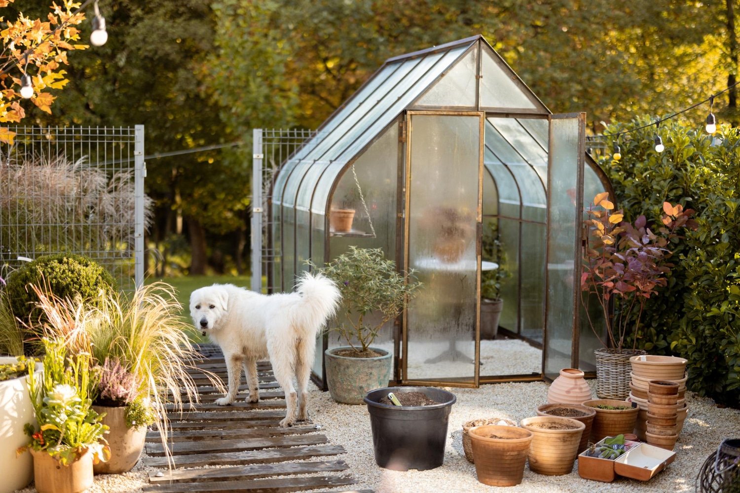 Quels sont les avantages d'une mini serre de jardin ? - Jeune Jolie